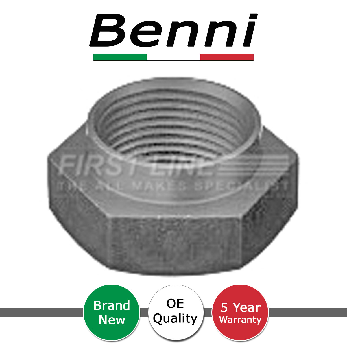 Benni dado asse stub anteriore posteriore adatto 206 106 306 205 saxo ducato 693541