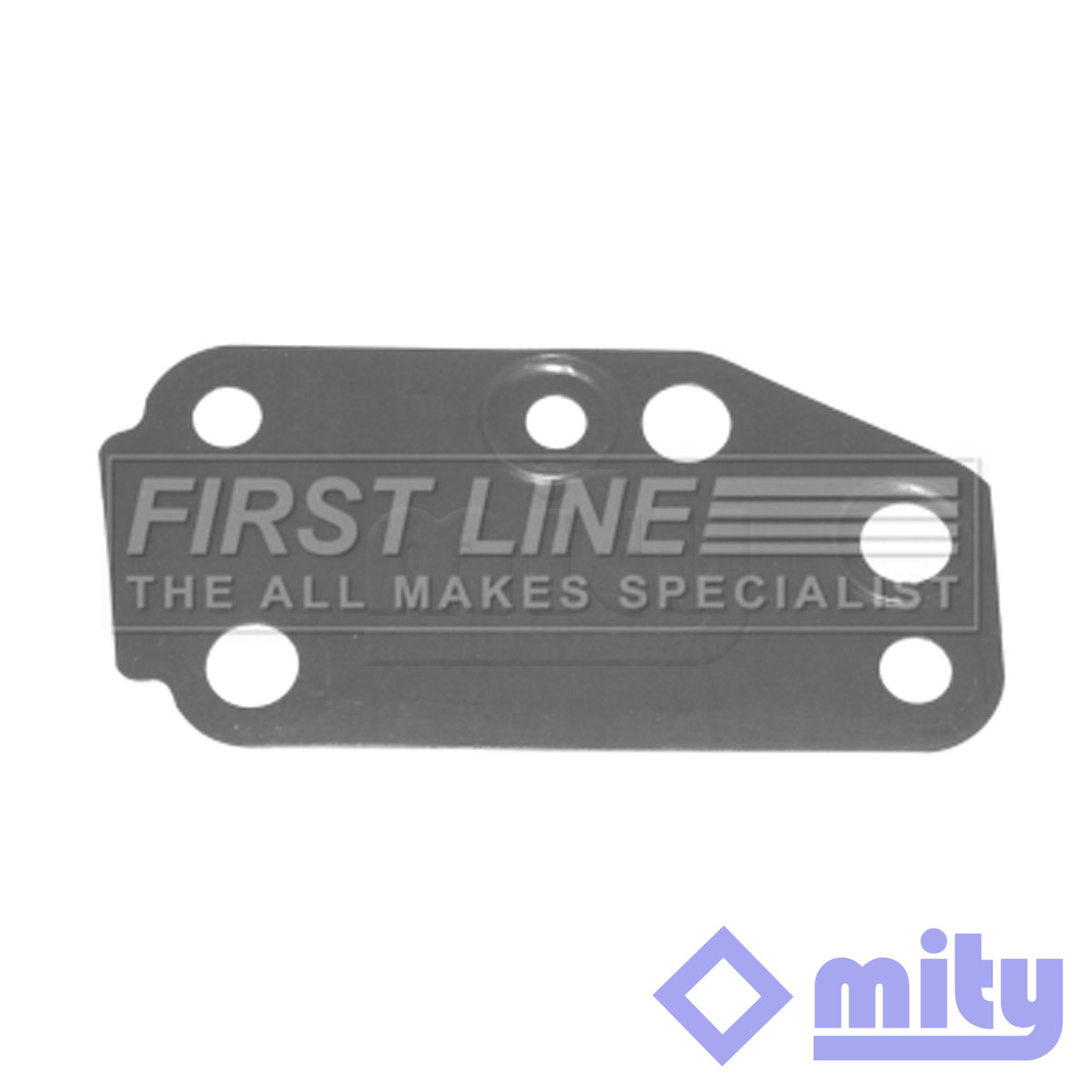 Adatto per guarnizione pompa acqua Defender Transit 2.4 D dCi TD4 2.5 Mity 1096559